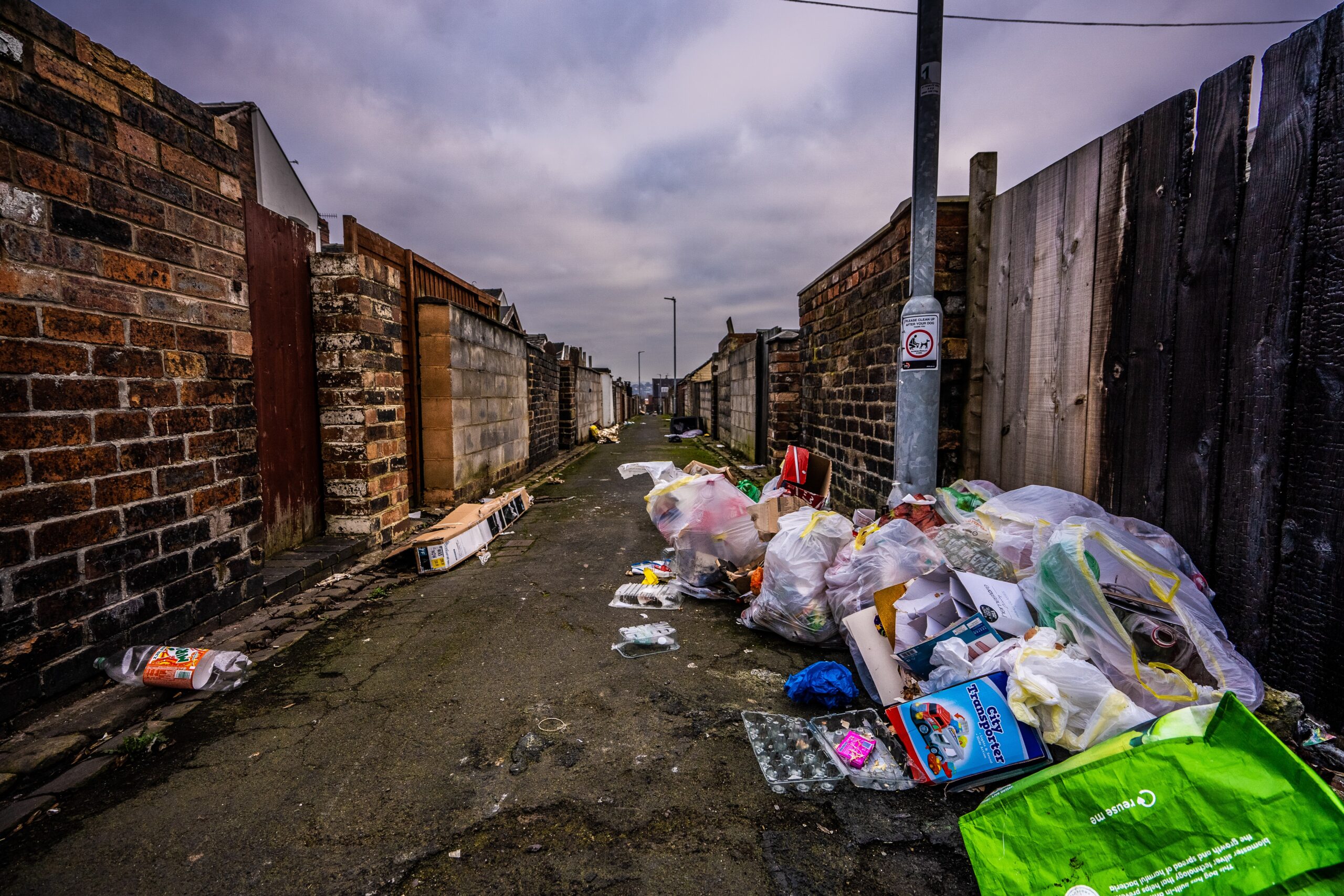 Tackling the Problem of Litter - Young Citizens